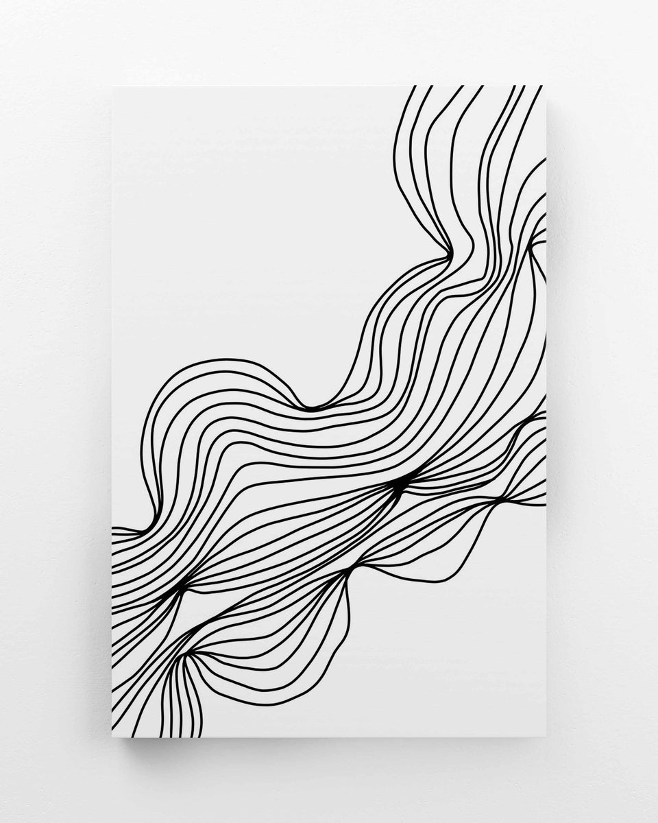 Black lines – alisketchez